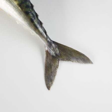 Birdie & Co. - Health Food und Speciality Coffee in Pempelfort