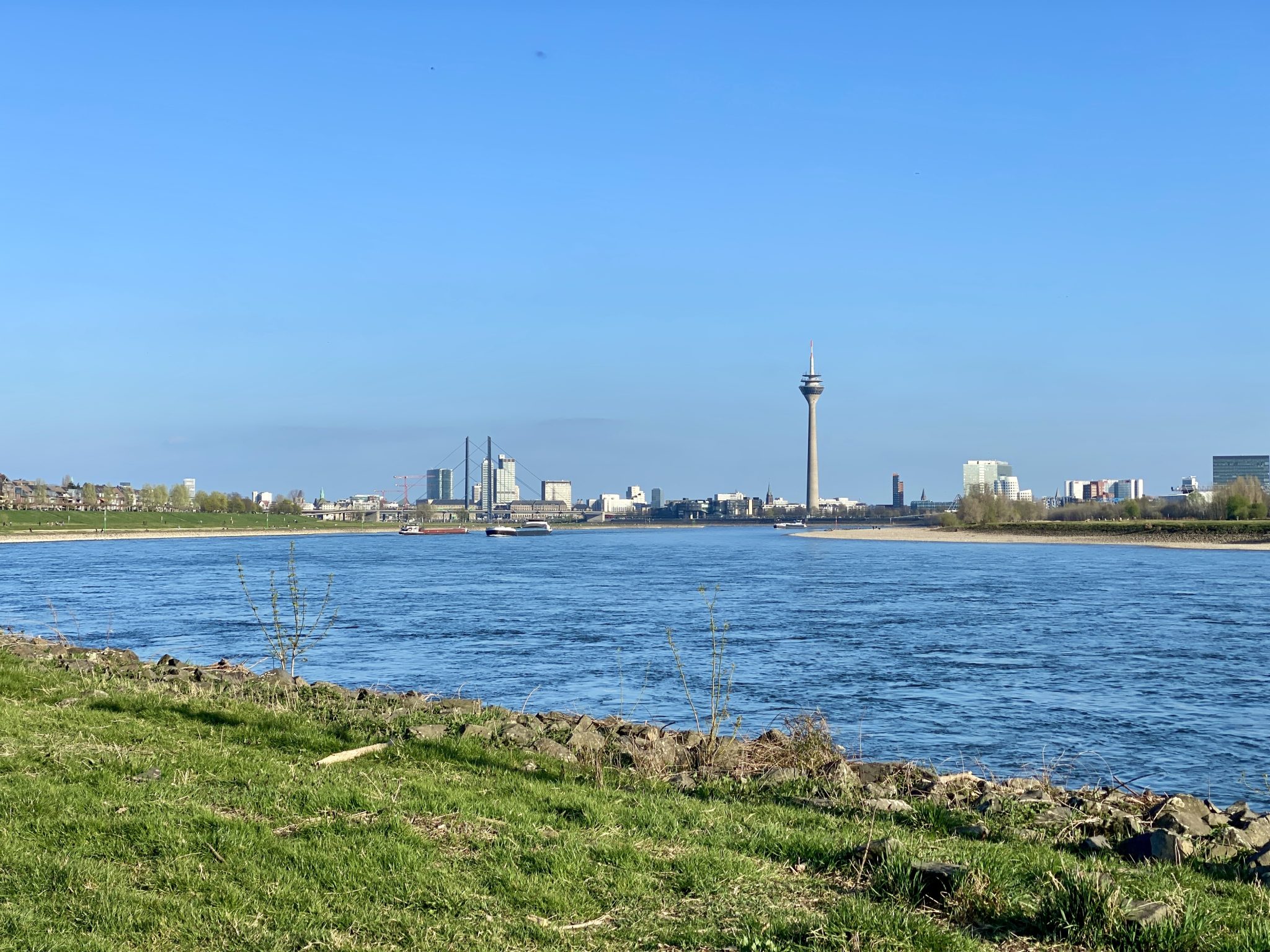 Rheinpark Heerdt | Die schönsten Parks in Düsseldorf | Mr. Düsseldorf ...