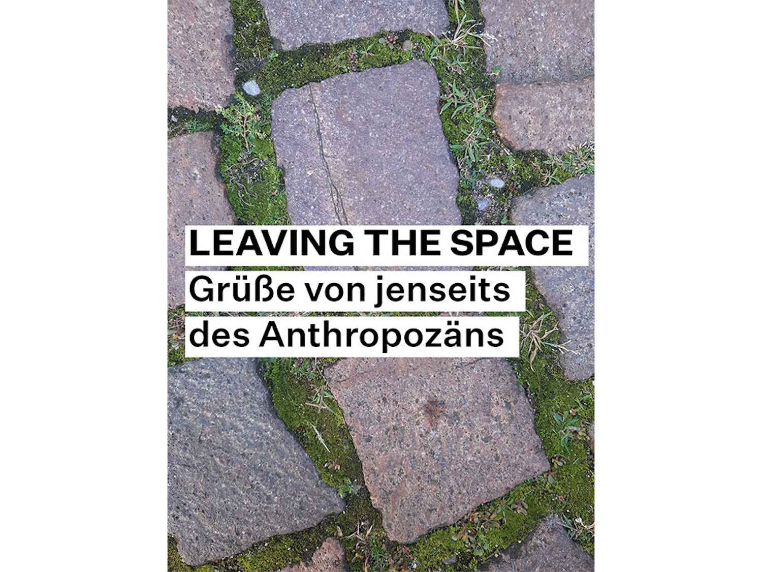 Open Days | Mr. Düsseldorf | Düsseldates | Foto: Noreen Maria Akhtar ...